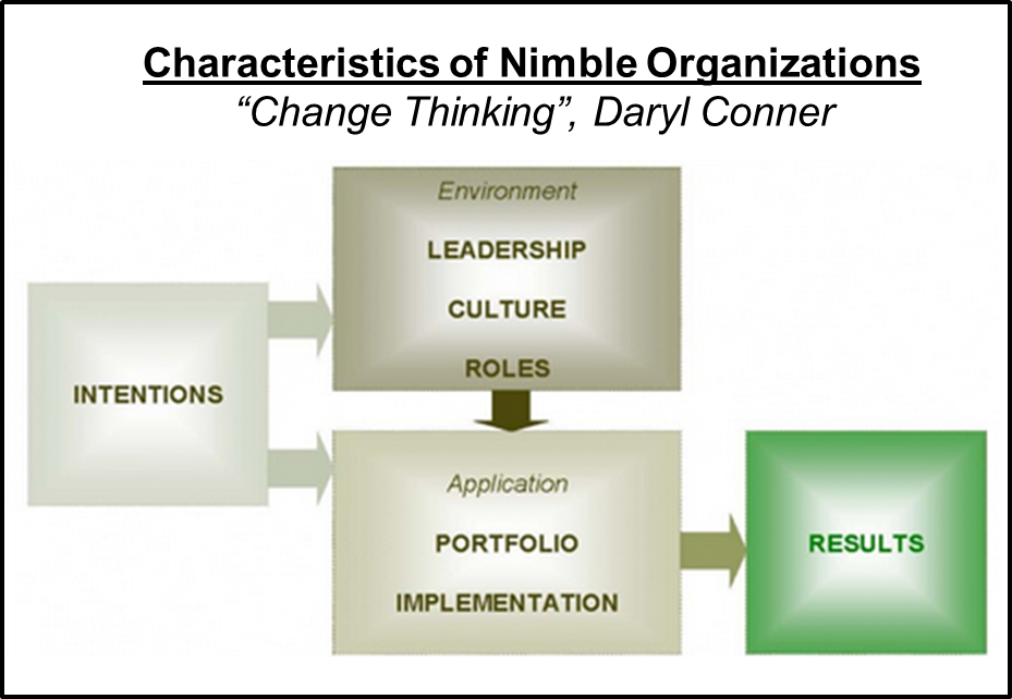 The strategic imperative of the “nimble organization” and why it seems ...