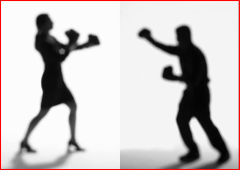 When Harvard professors duke it out – the ugly debate on Clayton ...